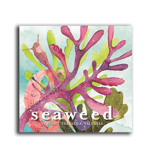 Book Publishing Houses in Mumbai, India | Coffee-table Books Printing